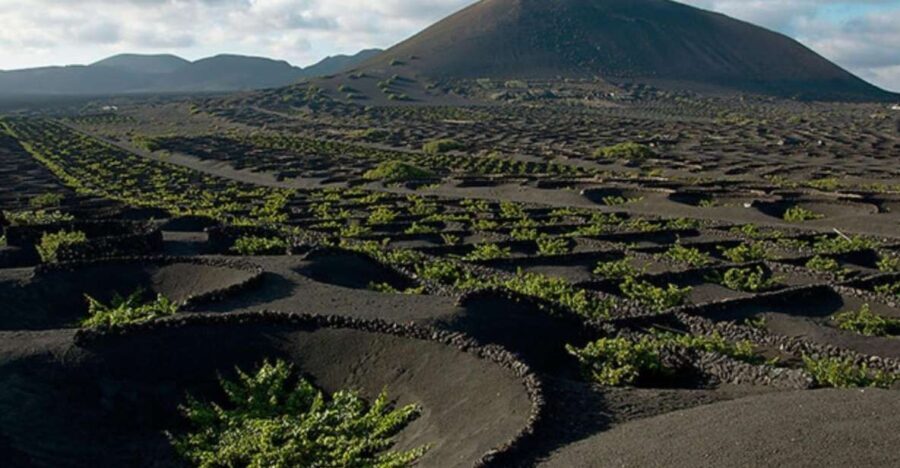 Lanzarote: Full Day Bus Tour with Scenic Views - The Sum Up