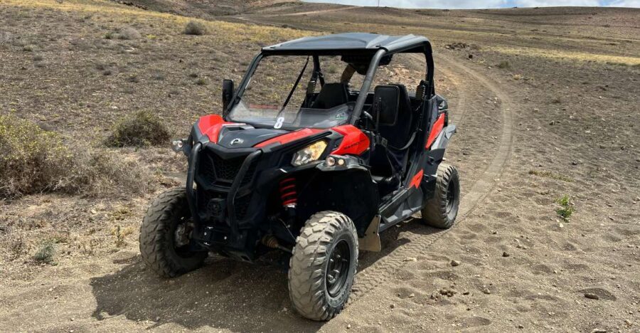 Lanzarote: Guided Can-Am Trail Buggy Tour - What Makes This Tour Stand Out?