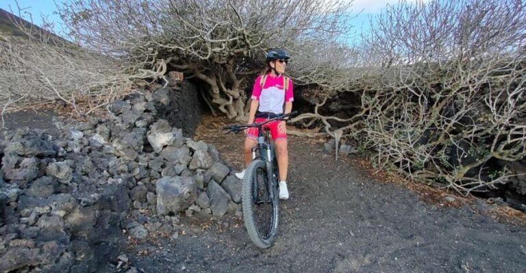 Lanzarote: Guided ebike tours around the volcanoes - Final Thoughts: Who Will Love This Tour?