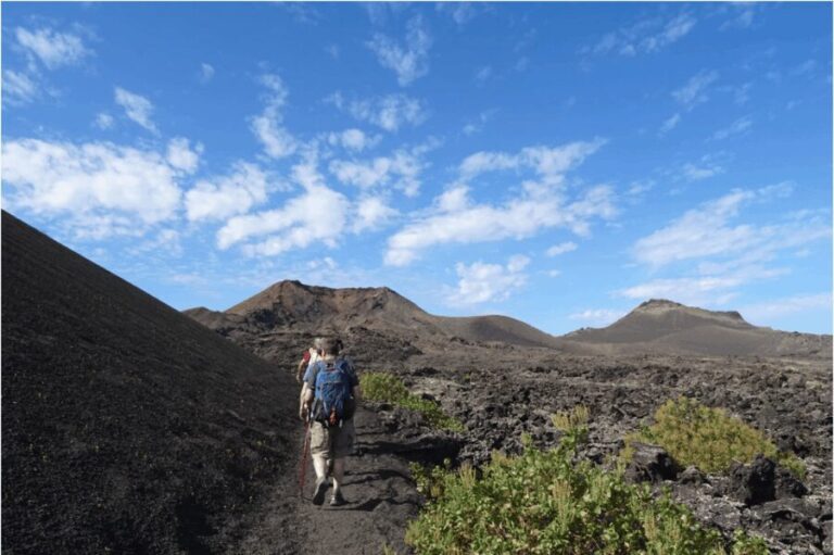 Lanzarote: Hike Across Timanfaya's Volcanic Landscapes - Frequently Asked Questions