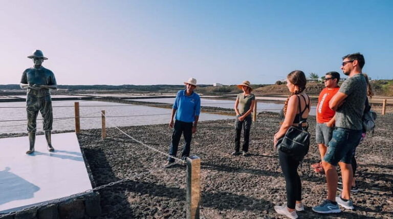 Lanzarote: Janubio Salt Flats Guided Tour - Who Should Consider This Tour?