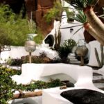Lanzarote: Northern Delights Tour - The Itinerary Breakdown: What You’ll See and Do