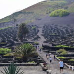 Lanzarote Shopping from Caleta de Fuste (Fuerteventura) - Transportation and Logistics: Why It Matters