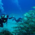 Lanzarote: Snorkeling Tour with Snack and Water - Final Thoughts