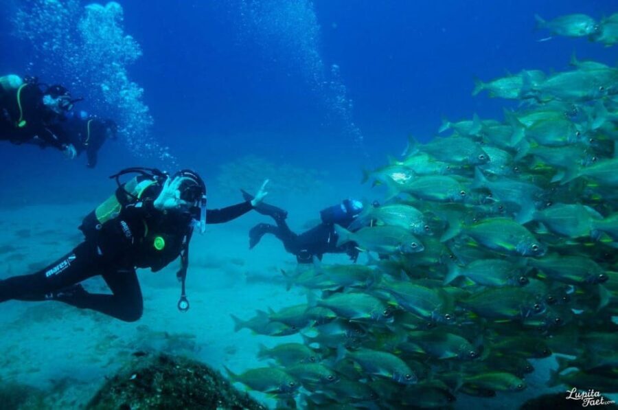 Lanzarote: Snorkeling Tour with Snack and Water - Final Thoughts