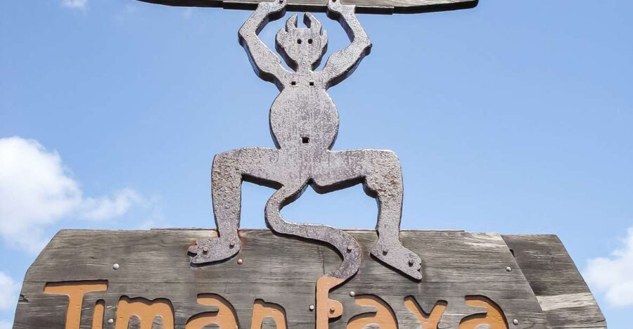 Lanzarote: Timanfaya National Park Volcanic Craters Tour - Analyzing the Value and Experience