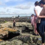 Lanzarote: Timanfaya Natural Park Trekking Tour - Transport, Group Size, and Practicalities