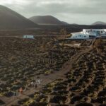 Lanzarote: Vineyard Tour with Wine and Chocolate Tasting - A Detailed Look at the Vineyard Tour Experience