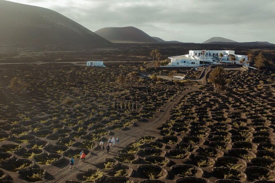 Lanzarote: Vineyard Tour with Wine and Chocolate Tasting - A Detailed Look at the Vineyard Tour Experience