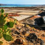 Lanzarote: Volcanos of Timanfaya and Caves Tour with Lunch - Transportation and Tour Logistics