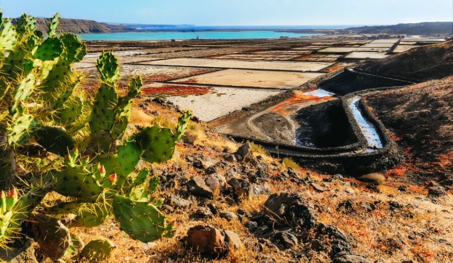 Lanzarote: Volcanos of Timanfaya and Caves Tour with Lunch - Transportation and Tour Logistics