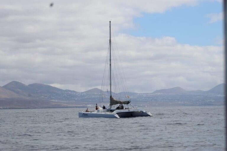 Lanzarote: Whale and Dolphin Watching Eco-Friendly Catamaran - Why Choose This Tour?