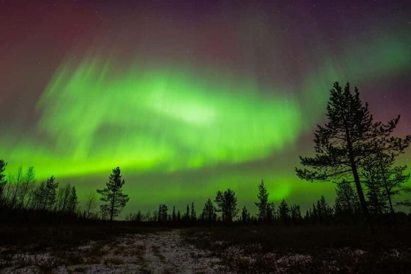 Lapland: Aurora Hunting by Minivan with Guide and Transport - Final Thoughts: Is It Worth It?