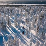 Lapland Family Snowmobile Safari from Rovaniemi - What Makes This Tour Stand Out