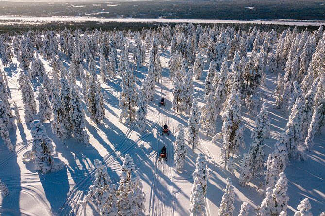 Lapland Family Snowmobile Safari from Rovaniemi - What Makes This Tour Stand Out