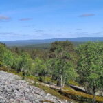 Lapland: Guided Hiking Tour in the Pristine Nature in Luosto - Final Thoughts