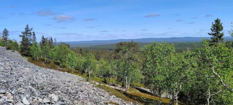 Lapland: Guided Hiking Tour in the Pristine Nature in Luosto - Final Thoughts