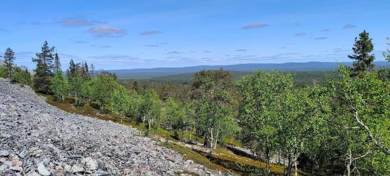 Lapland: Guided Hiking Tour in the Pristine Nature in Luosto - Final Thoughts