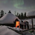 Lapland In A Day - Reindeer, Sledding, Snowmobile & Nature - The Experience in Detail