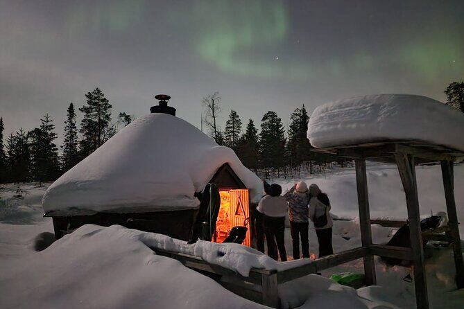 Lapland In A Day - Reindeer, Sledding, Snowmobile & Nature - The Experience in Detail