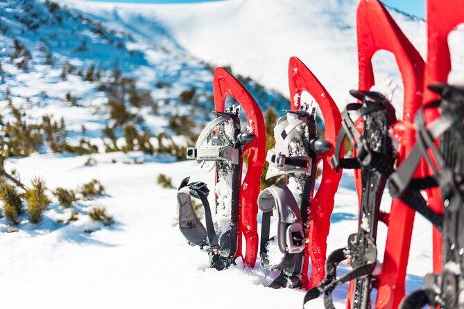 Lapland Winter Experience - Analyzing the Value for Money