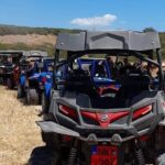 Lara Bay & Adonis Falls Quad & Buggy Tour - An In-Depth Look at the Lara Bay & Adonis Falls Tour