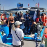 Larnaca: Snorkelling Zenobia Wreck Plus Mini Cruise - Who Will Love This Tour?