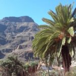 Las Palmas: 8-Hour Gran Canaria Island Highlights Tour - Transportation and Group Dynamics