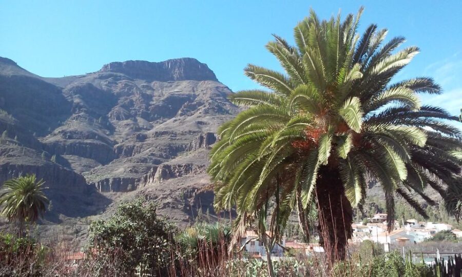 Las Palmas: 8-Hour Gran Canaria Island Highlights Tour - Transportation and Group Dynamics