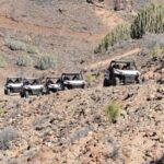 Las Palmas: Gran Canaria Guided Buggy Tour - What to Expect: The Day of Your Adventure