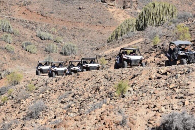 Las Palmas: Gran Canaria Guided Buggy Tour - What to Expect: The Day of Your Adventure