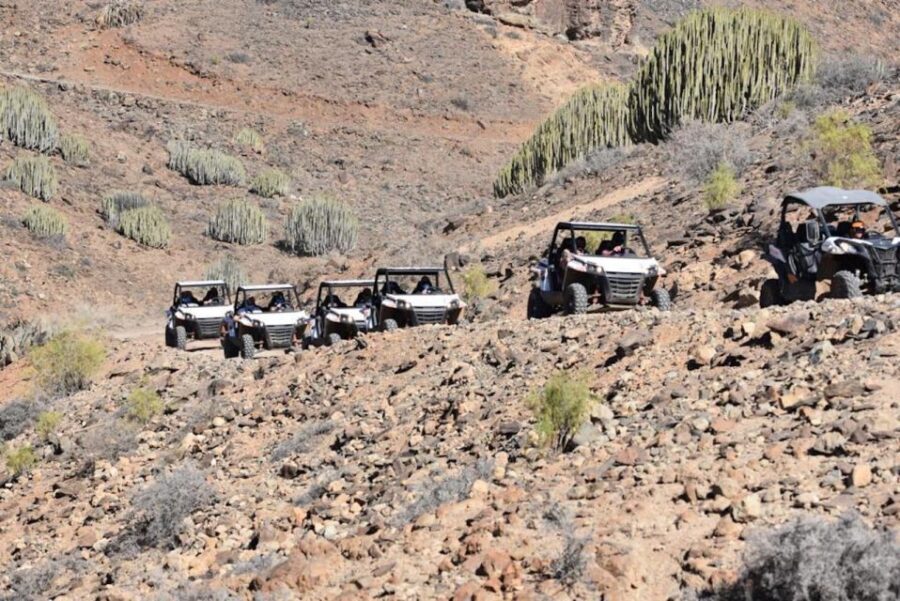 Las Palmas: Gran Canaria Guided Buggy Tour - What to Expect: The Day of Your Adventure
