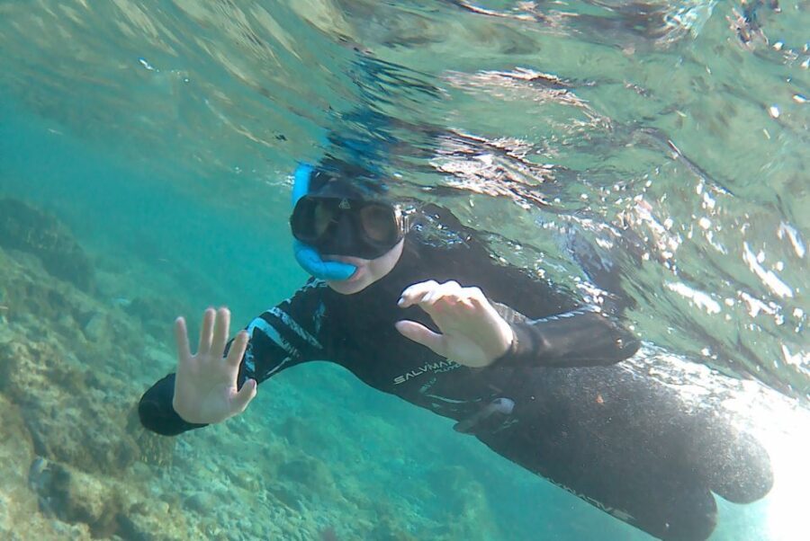 Las Palmas: Las Canteras Beach Snorkeling Trip - What You Can Expect from This Snorkeling Tour