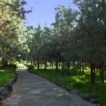 Las Palmas: Privat Botanic Garden Tour & opt. hike Extension - Final Considerations