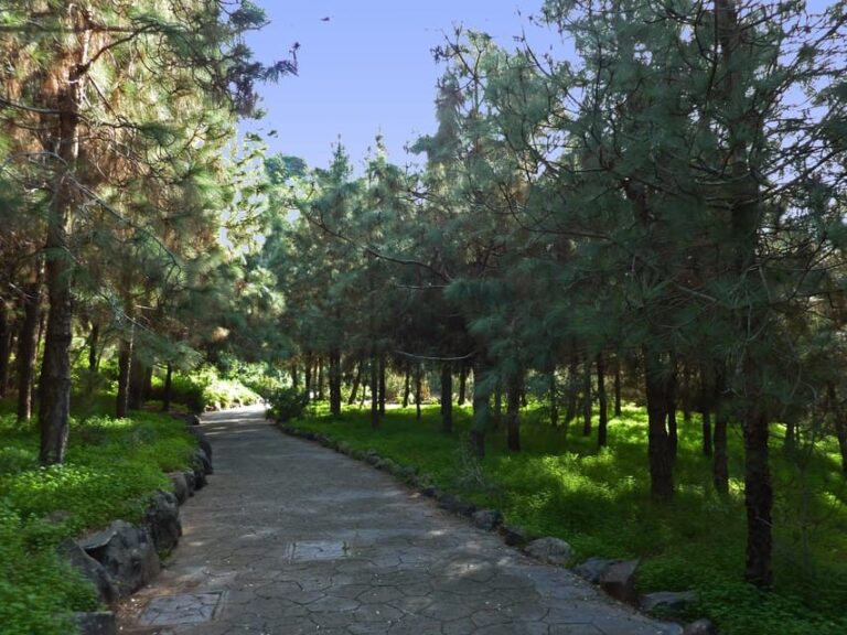 Las Palmas: Privat Botanic Garden Tour & opt. hike Extension - Final Considerations