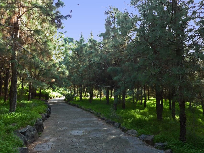 Las Palmas: Privat Botanic Garden Tour & opt. hike Extension - Final Considerations