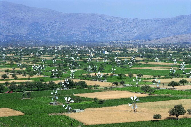 Lasithi - Zeus Cave -Olive Oil Factory - Traditional Villages - Exploring the Best of Crete in a Day: An Honest Review of the Lasithi - Zeus Cave - Olive Oil Factory – Traditional Villages Tour