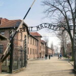 Last Tickets From Krakow: Auschwitz-Birkenau Guided Tour - The Overall Value and Why It Works