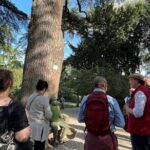 Latin Quarter Unbottled - Wine History & Tastings - Introduction: An Authentic Slice of Paris’s Wine Past