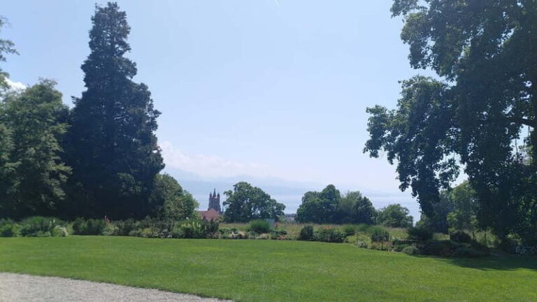 Lausanne: Cultural and Historical Guided Walking Tour - The Typical Experience and What to Expect