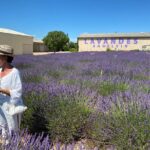 Lavender Discovery Private Tour in Provence - Comfort, Convenience, and Personalization