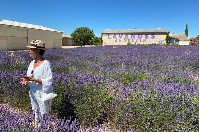 Lavender Discovery Private Tour in Provence - Comfort, Convenience, and Personalization