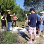 Lavender Field & Distillery Tour between Nimes & Arles - Authenticity & Reviews