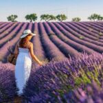 Lavender Fields Tour - Who Is This Tour Best For?