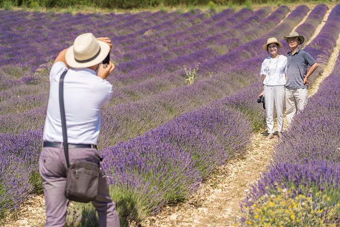 Lavender in Sault Small Group Half-Day Trip - Key Points
