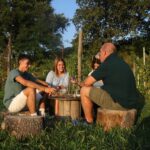 Lazise: Beekeeping Farm Tour and Tasting Experience - The Itinerary: What You’ll Experience