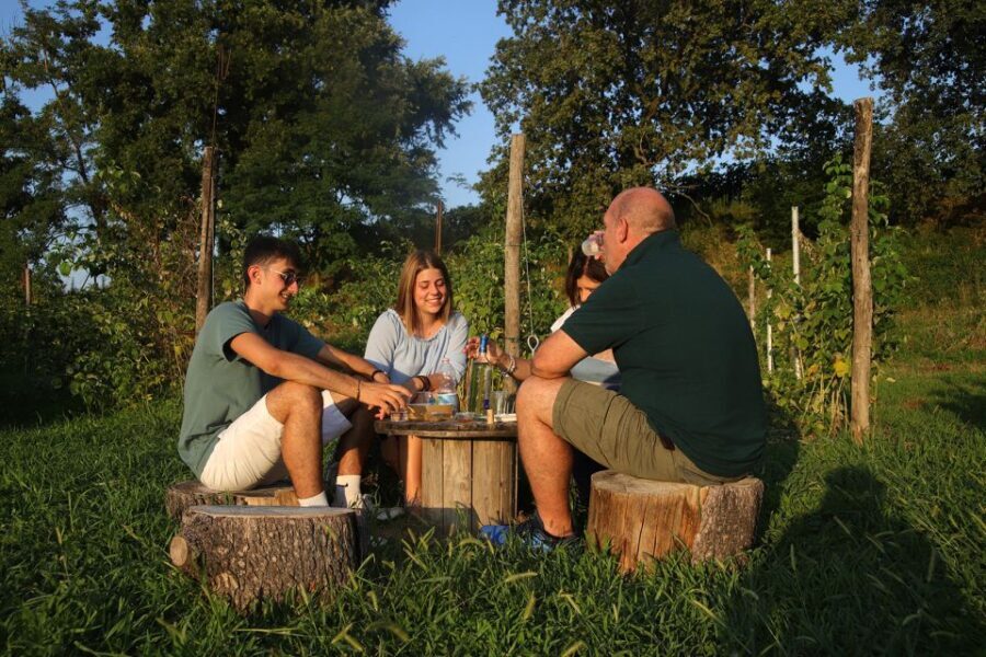 Lazise: Beekeeping Farm Tour and Tasting Experience - The Itinerary: What You’ll Experience
