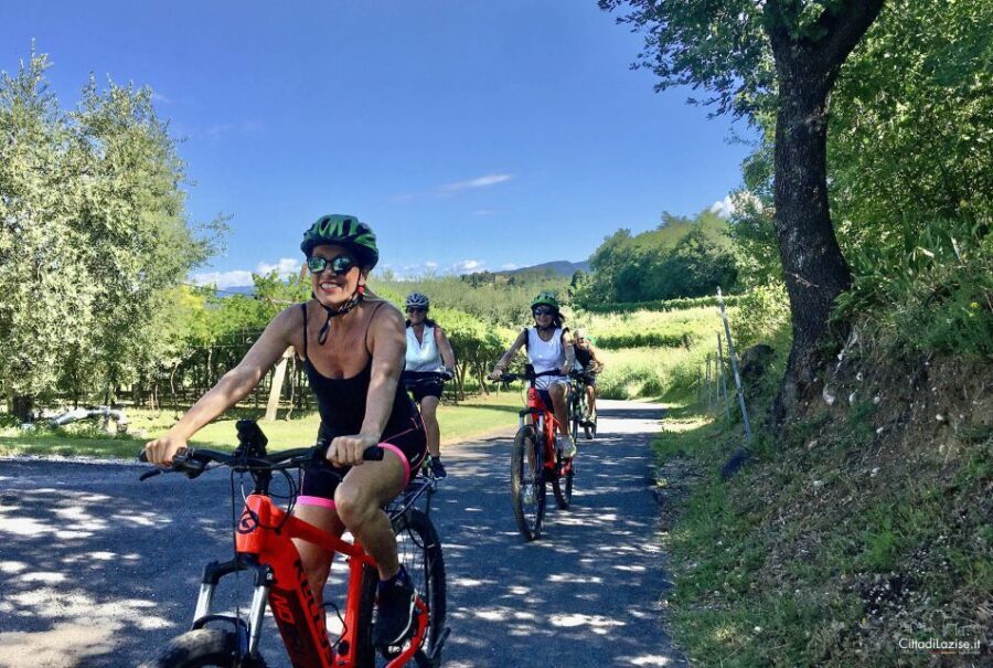 Lazise: Bike Tour and Wine Tasting - What You’ll See and Do
