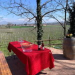 Lazise: Biodynamic Farm Tour and Natural Wine Tasting - A Thorough Breakdown of the Tour Experience