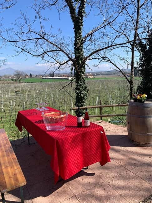 Lazise: Biodynamic Farm Tour and Natural Wine Tasting - A Thorough Breakdown of the Tour Experience
